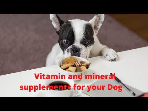 Vitamin and mineral supplements for your pets [Pet Diet Supplements]