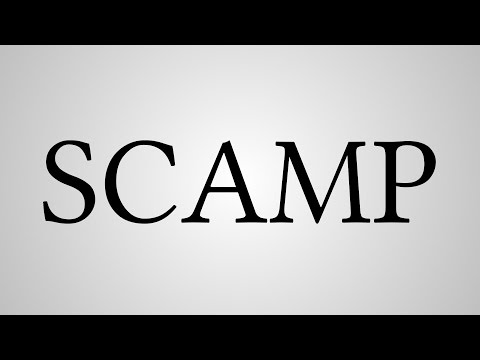 What Does "SCAMP" Stand For?