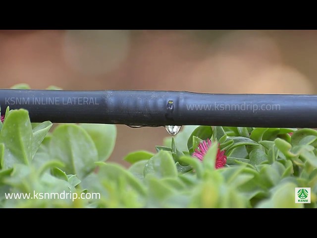DRIP IRRIGATION SYSTEM - Inline Drip Laterals Manufacturer from Coimbatore