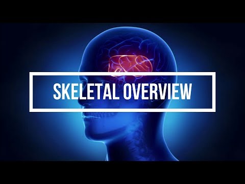 Skeletal Overview