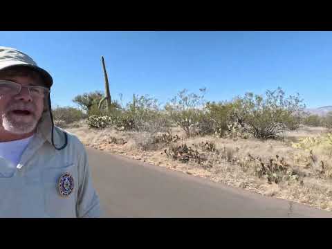 STABILIZED Virtual Treadmill Trails- Ep. 01 Saguaro National Park Arizona 8.1 Mile Loop - Pt. 1