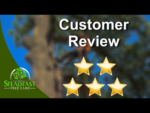 Steadfast Tree Care Fredericksburg - Five Star Review for Tree Care Near Me