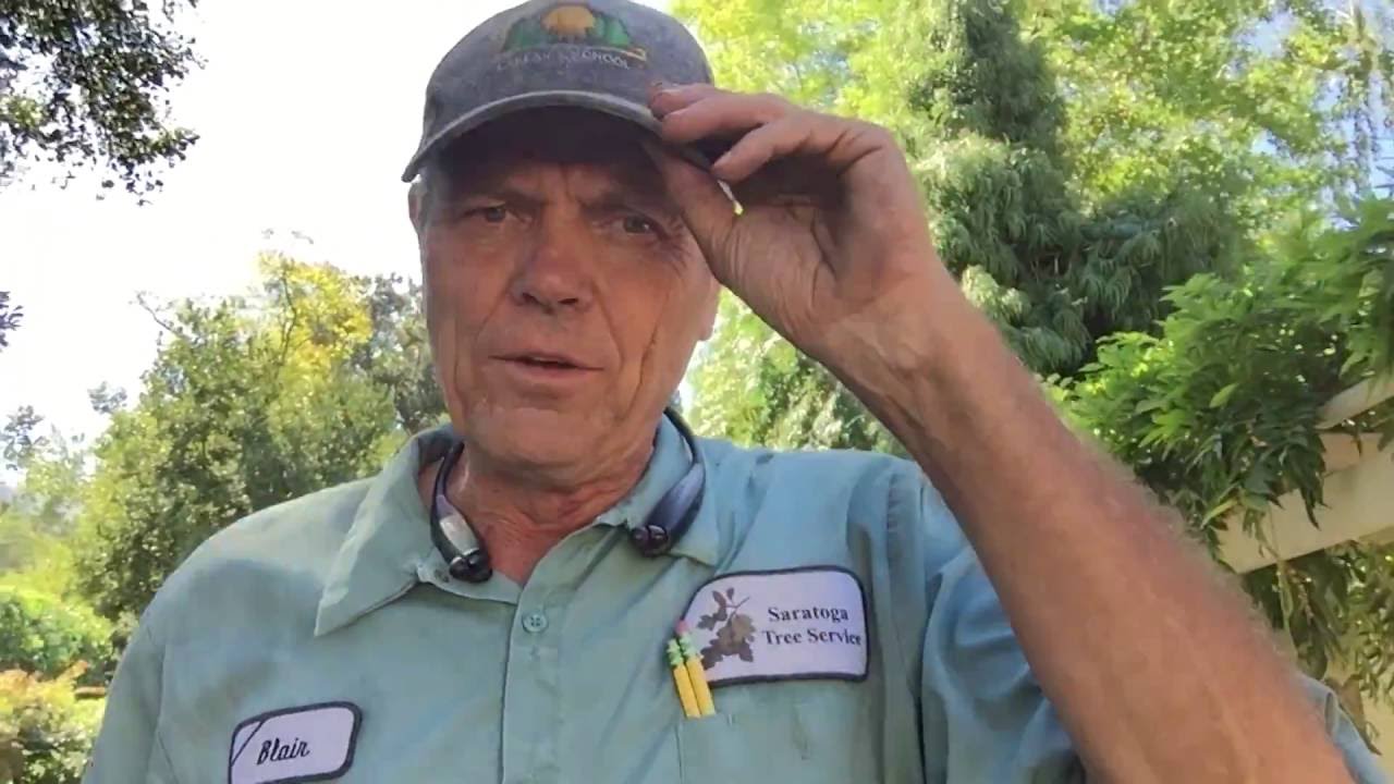 How Much MONEY can you Make?