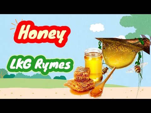 The Honey | cbse lkg rhymes