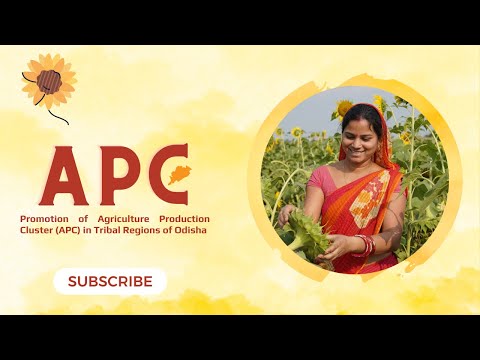 Agriculture Production Cluster Project