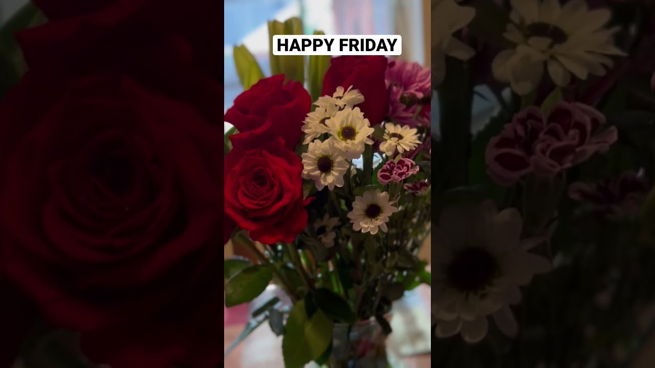 HAPPY FRIDAY #hollyweek #happyfriday #shortvideo #beautifuflowers #freshflowers