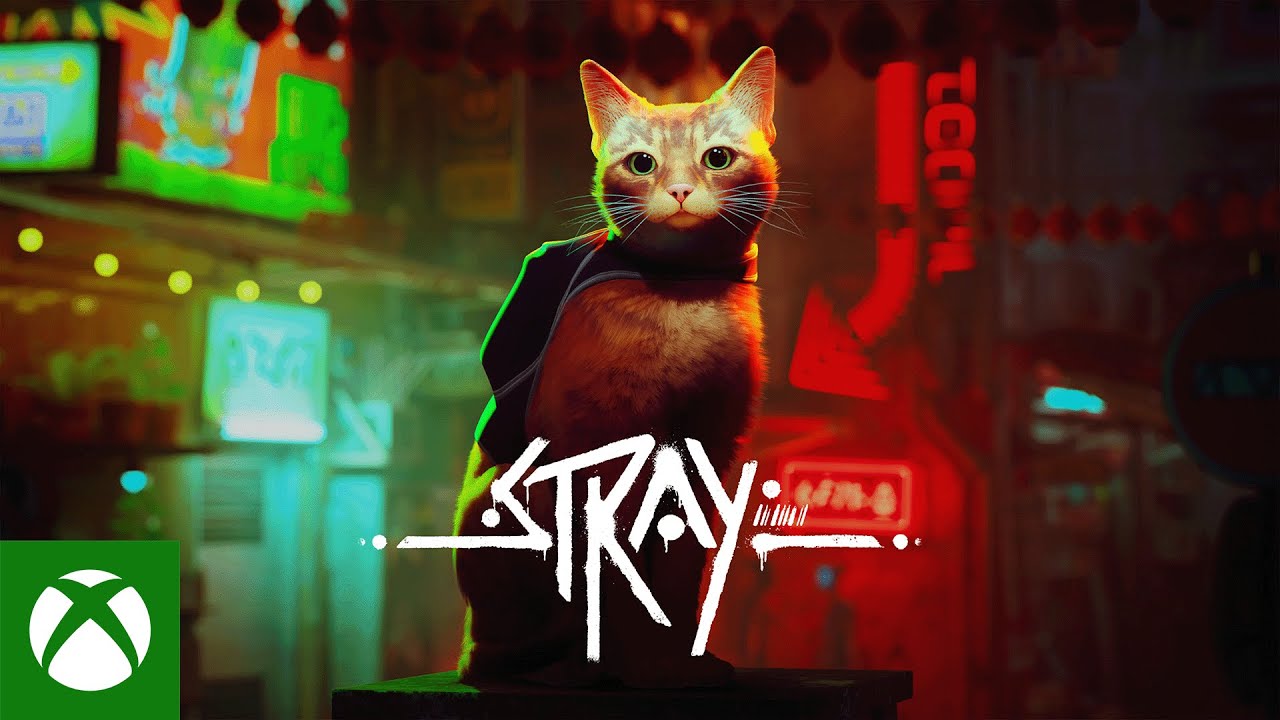 Stray, disponible el 10 de agosto en Xbox - IG News
