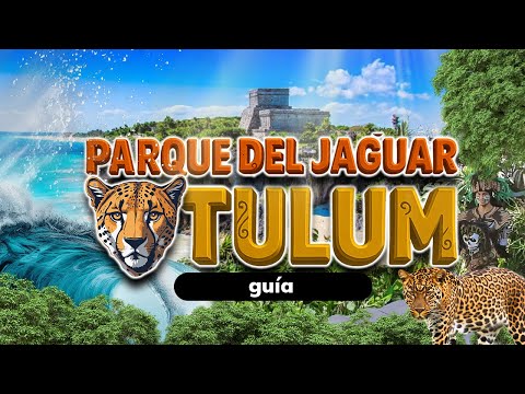 This is how our route through Tulum begins: a real guide to Jaguar Park