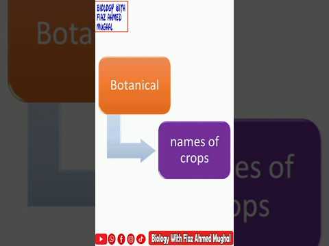 Botanical names of crops /Scientific names of crops/names of different crops/fasloo ke sciencey naam