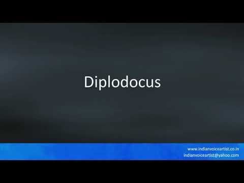 How to pronounce "Diplodocus".
