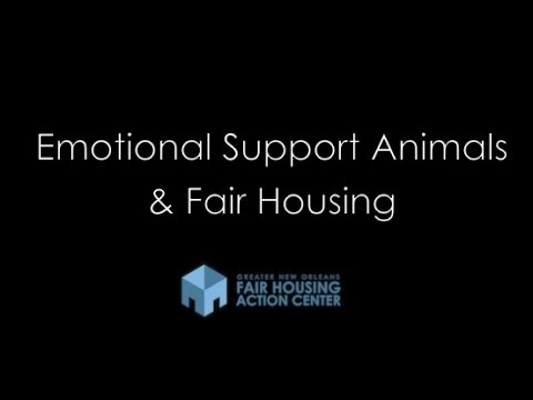Emotional Support Animals
