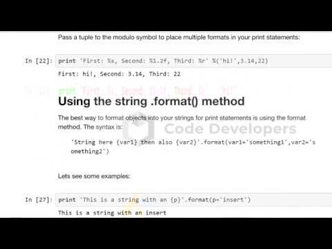 Print Formatting in Python