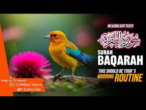 Heart Warming "Surah Al Baqarah" With Urdu Translation.. Right Way