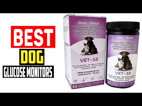 ✅Top 5 Best Glucose Monitors For Dogs in 2025