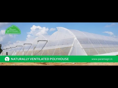 Polyhouse Construction Services, Polyhouse Construction in India