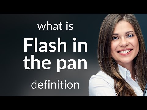 Flash in the pan • FLASH IN THE PAN meaning