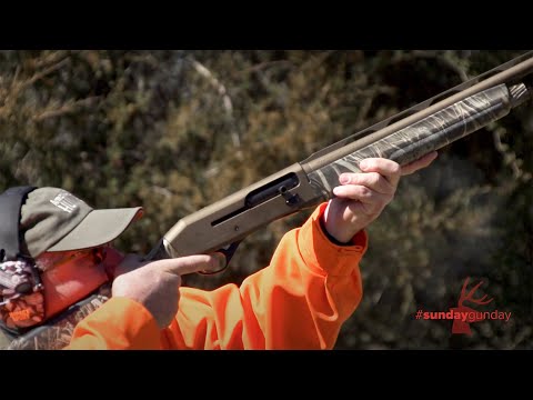#SundayGunday: Stoeger M3500
