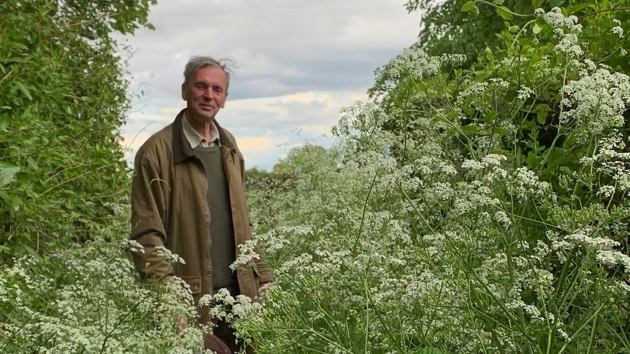 Rupert Sheldrake – in Search of Spirit – Becoming Borealis