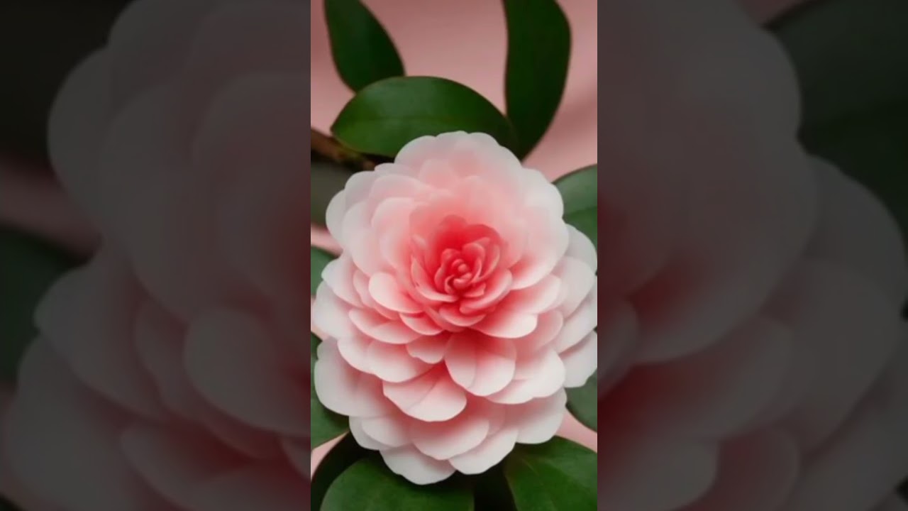 mainan gambar bunga cantik🥰🥰🤩