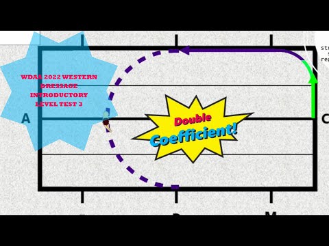WDAA 2022 WESTERN DRESSAGE INTRODUCTORY LEVEL TEST 3