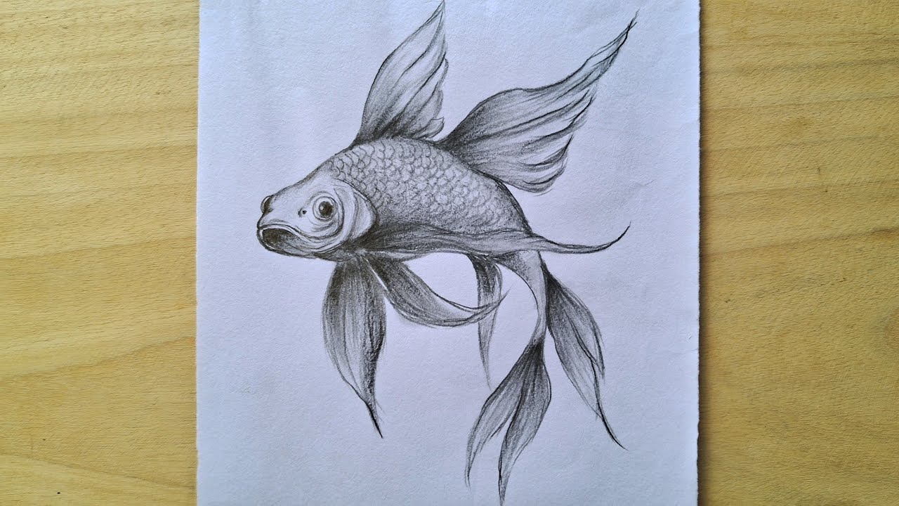 Realistic Goldfish Drawing Tutorial || How To Draw a Fish Easy Step || Beginners Pencil Sketch Art