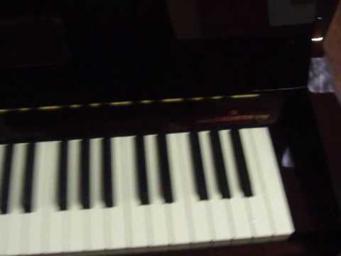 W.Hoffmann vision 120 mahonie.MP4