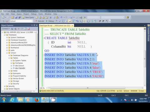 SQL Server DataType 1 Bit