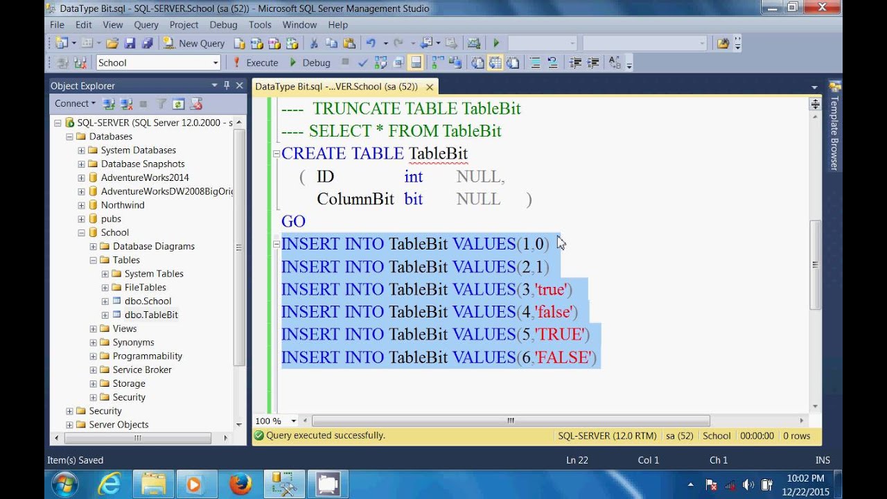 SQL Server DataType 1 Bit