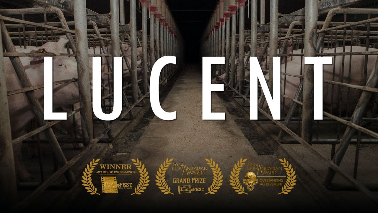 Lucent - Trailer
