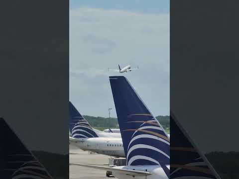 Copa Airlines Operations In Panama's Tocumen Airport #shorts