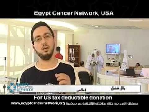 CCHE 57357: Egypt's Soul, Egypt Cancer Network 57357, USA