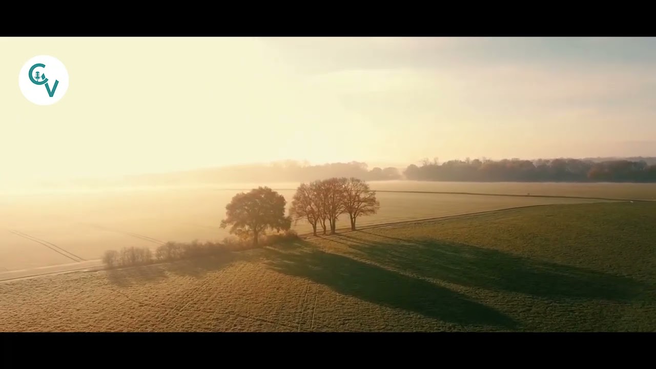 🌾 Nurturing Central Java's Paddy Rice Fields! 🌾