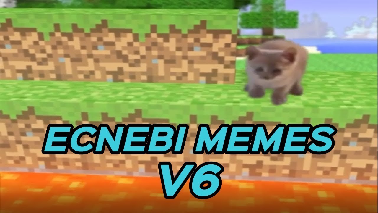 ECNEBI MEMES V6