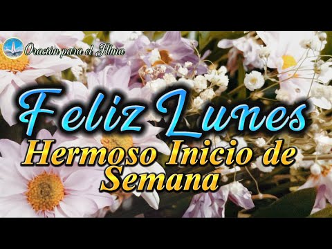 Buenos días Feliz Lunes Hermoso inicio de semana Este mensaje es para ti