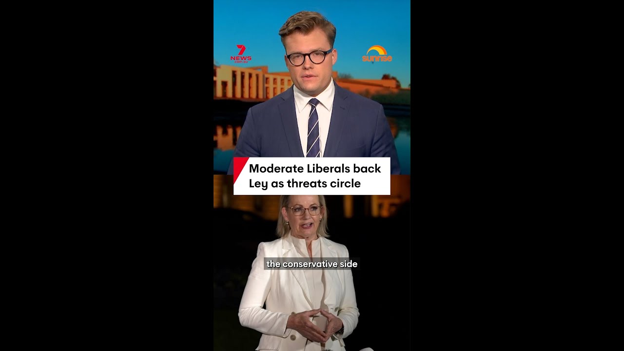 Moderate Liberals back Ley as threats circle