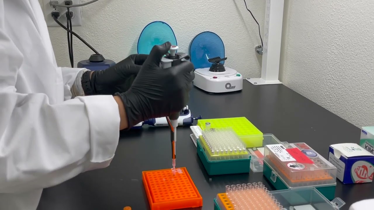 UST TELL-Seq Workflow Episode 3: Barcode DNA
