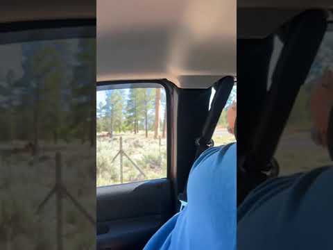 Long Jim Loop Camping | Grand Canyon, Arizona