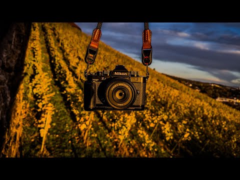 Nikon Zf: POV street photography (comparing color profiles)