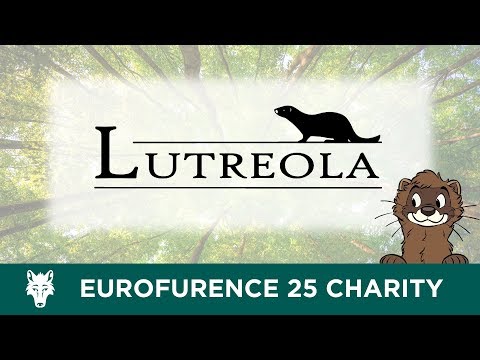 Eurofurence 25: 'Fractures in Time' – con report | flayrah