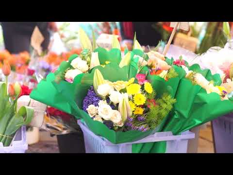 Farmer's Market Pictorial Essay