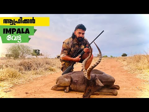 ആഫ്രിക്കൻ IMPALA വേട്ട ,AFRICAN HUNTING,BEST HUNTING,HUNTING AND COOKING,BUSH MEAT,MALAYALAM HUNTING