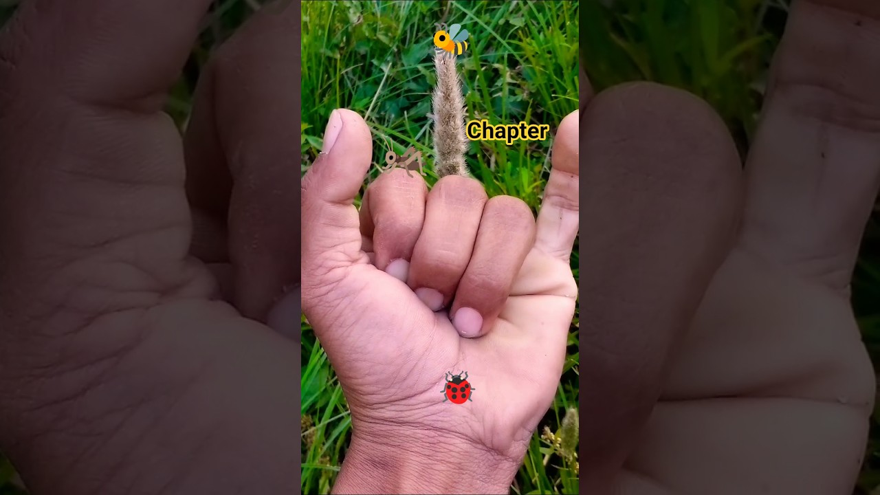 i love the brown one #anyuniqueanimals #beetle #nature #wildlife