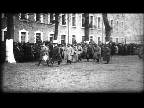 Edgar Jadwin, Langfitt, Richard Nugent O'Conno and other Generals are decorated b...HD Stock Footage
