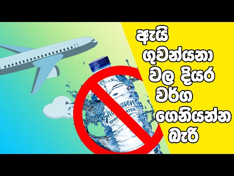 Why can't we bring Liqued To The Airplane