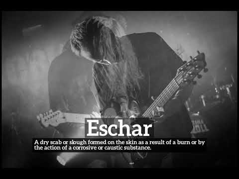What is Eschar? | How Does Eschar Look? | How to Say Eschar in English?