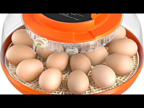 Onsju 18 Egg Incubator with Automatic Egg Turning and Humidity Control, Incubators for Hatching Eggs