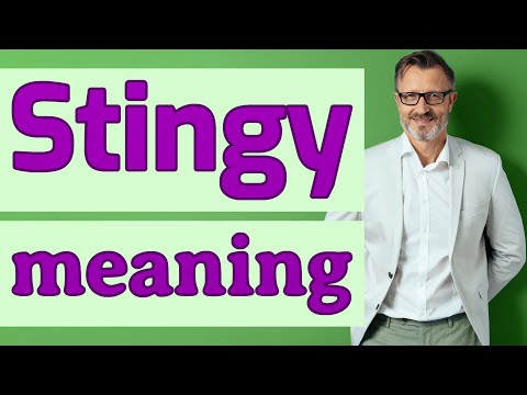 Stingy | Definition of stingy 📖 📖