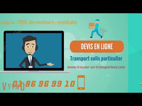 Transport colis particulier au 01.86.96.99.10 : Comment faire un transport colis particulier ?