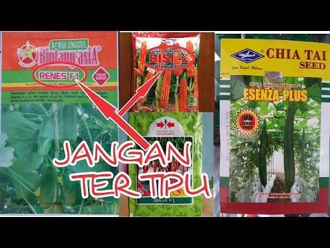 Jangan tertipu istilah hibrida atau benih F1