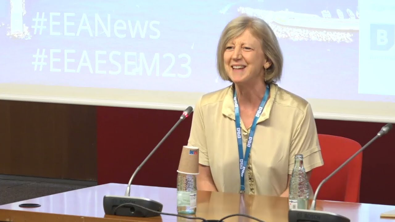 Life as an Early Career Academic EEA ESEM 2023